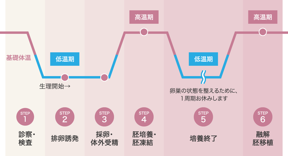 高度生殖補助医療(体外受精) 不妊治療 メディカルパーク ベイフロント横浜